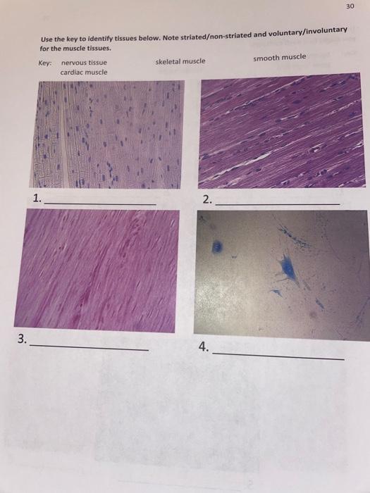 Solved Please fill in the blanks | Chegg.com