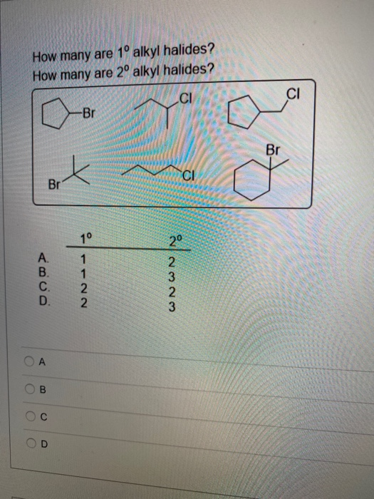 Solved How many are 1° alkyl halides? How many are 2° alkyl | Chegg.com