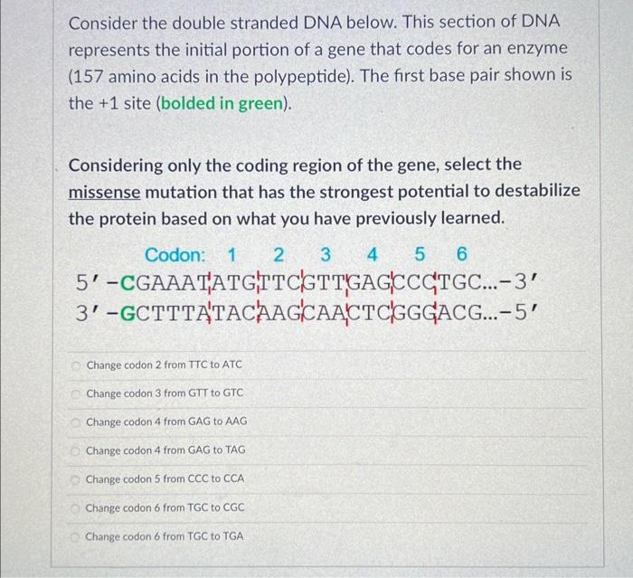 Solved Consider the double stranded DNA below. This section | Chegg.com