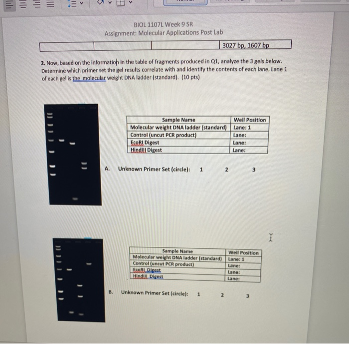 Solved Normal No Spacing Heading 1 Assignment: Molecular | Chegg.com