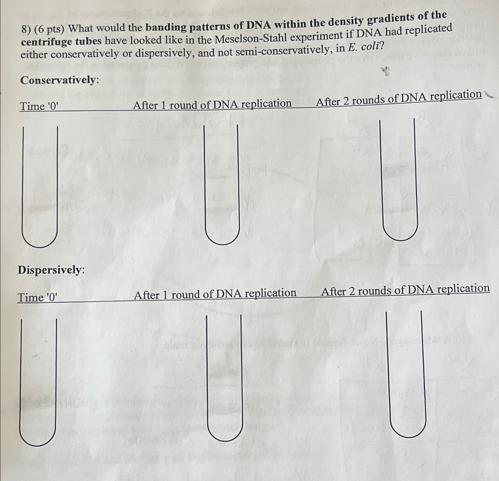 Solved (6 ﻿pts) ﻿What would the banding patterns of DNA | Chegg.com