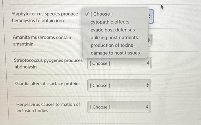 Solved match the description of microbial disease with the | Chegg.com