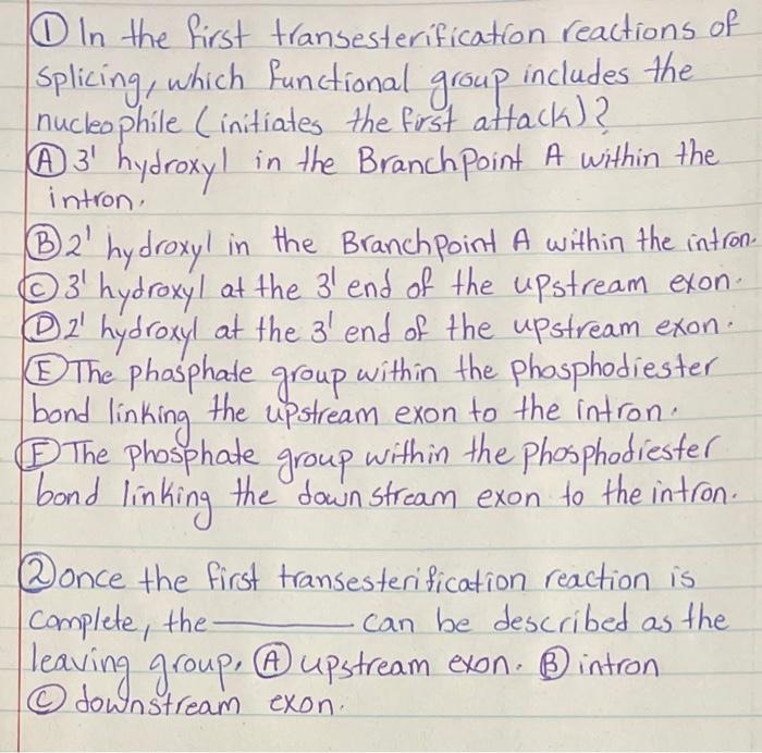 Solved (1) In the first transesterification reactions of | Chegg.com