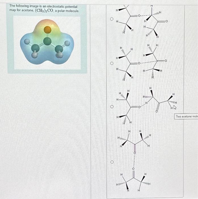 Solved The following image is an electrostatic potential map | Chegg.com