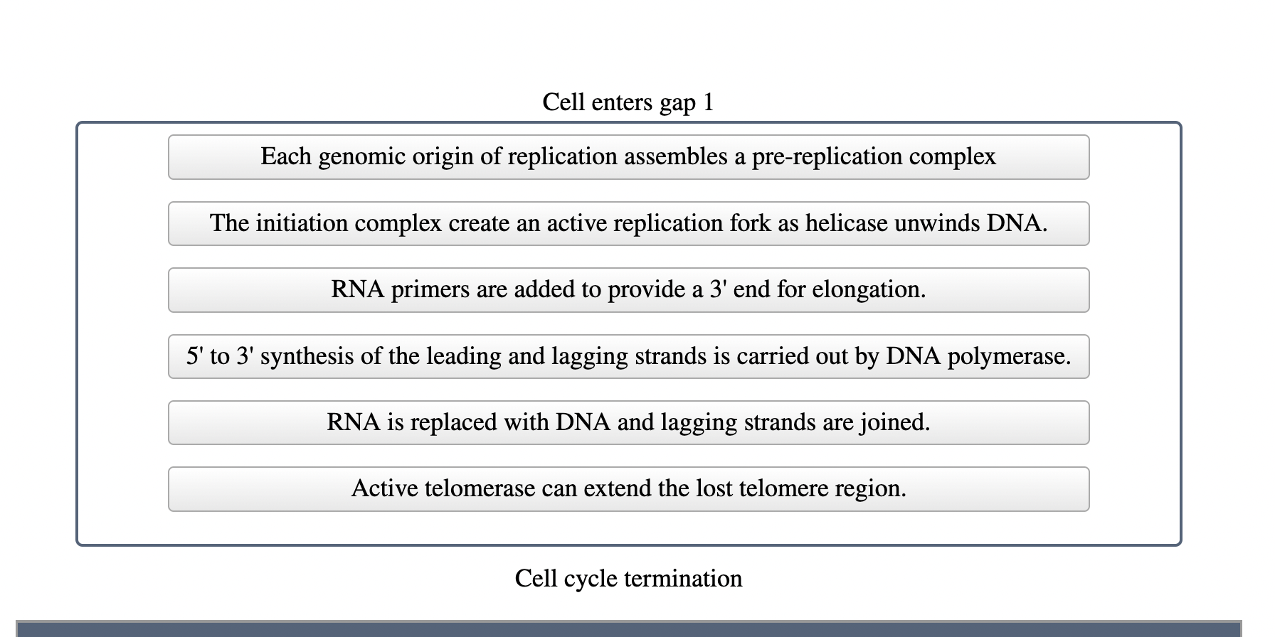 Solved Each genomic origin of replication assembles a | Chegg.com