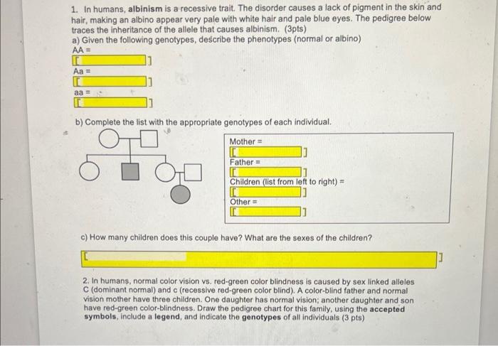Solved 1. In humans, albinism is a recessive trait. The | Chegg.com
