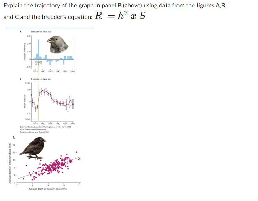 Solved Explain the trajectory of the graph in panel | Chegg.com
