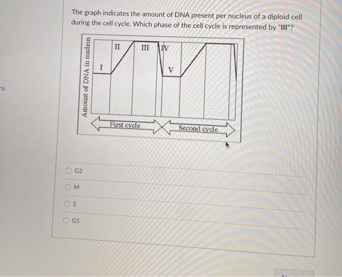 Solved The graph indicates the amount of DNA present per | Chegg.com