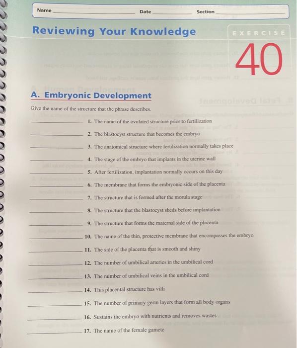 Solved Name Date Section Reviewing Your knowledge EXERCISE | Chegg.com Solved Name Date Section Reviewing Your knowledge EXERCISE | Chegg.com