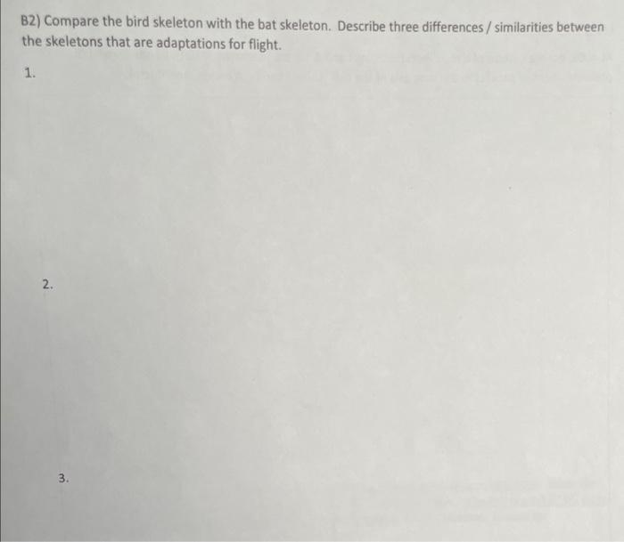 Solved B2) Compare the bird skeleton with the bat skeleton. | Chegg.com