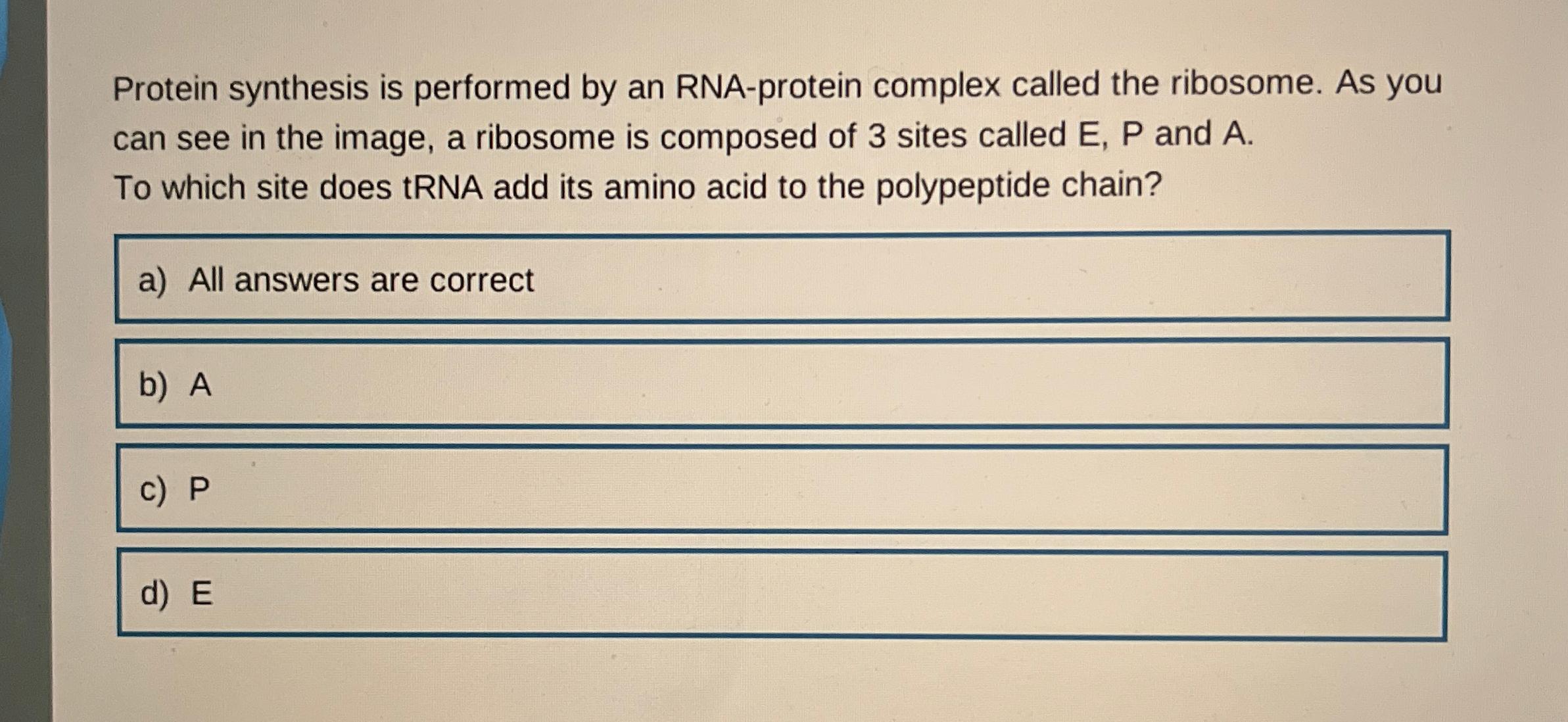 Solved Protein synthesis is performed by an RNA-protein | Chegg.com