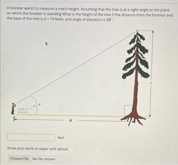 Solved A forester wants to measure a tree's height. Assuming | Chegg.com