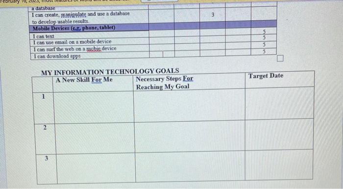 MY INFORMATION TECHNOLOGY GOALS | Chegg.com