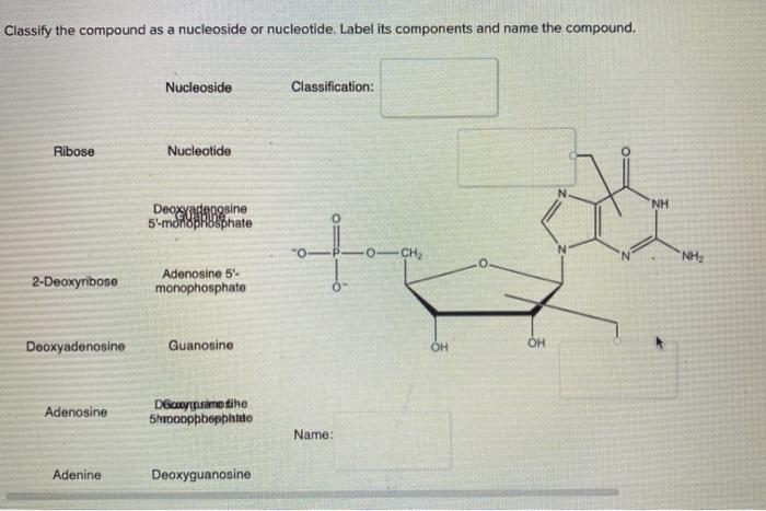 Solved Classify the compound as a nucleoside or nucleotide. | Chegg.com