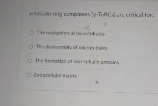 Solved γ-tubulin ring complexes ( γ-TuRCs) ﻿are critical | Chegg.com