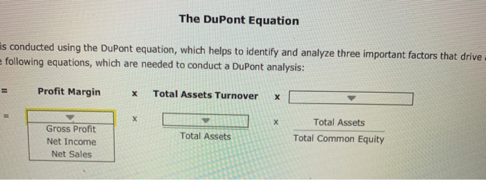 Solved 7. DuPont equation Aa Aa E Corporate decision makers | Chegg.com