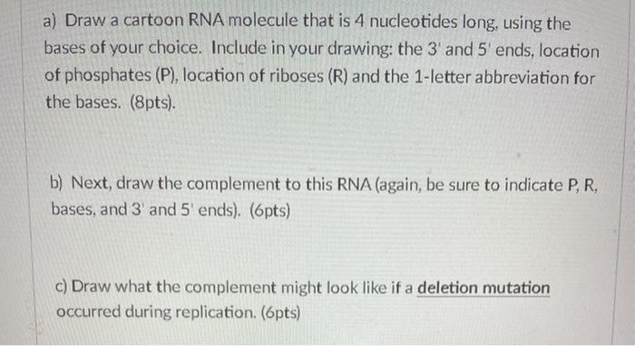 Solved a) Draw a cartoon RNA molecule that is 4 nucleotides | Chegg.com