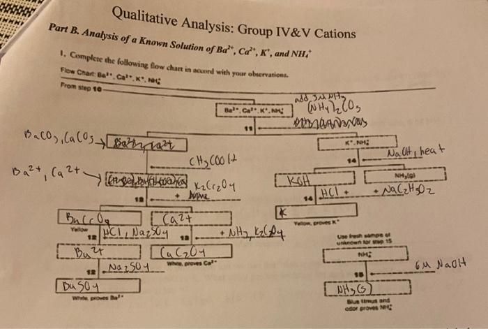 Solved E12 Qualitative Analysis: Group IV & V Cations | Chegg.com