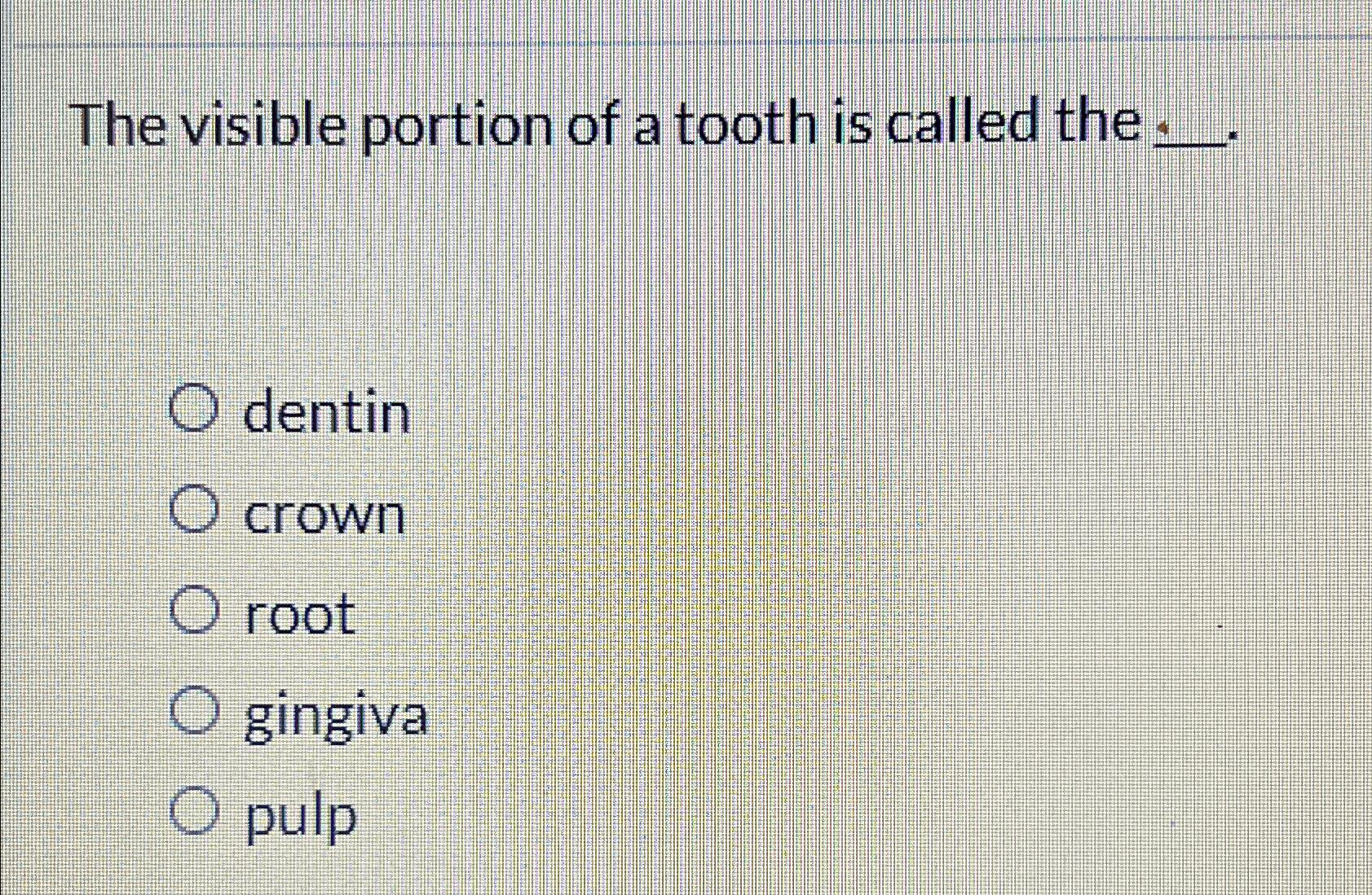 Solved The visible portion of a tooth is called | Chegg.com