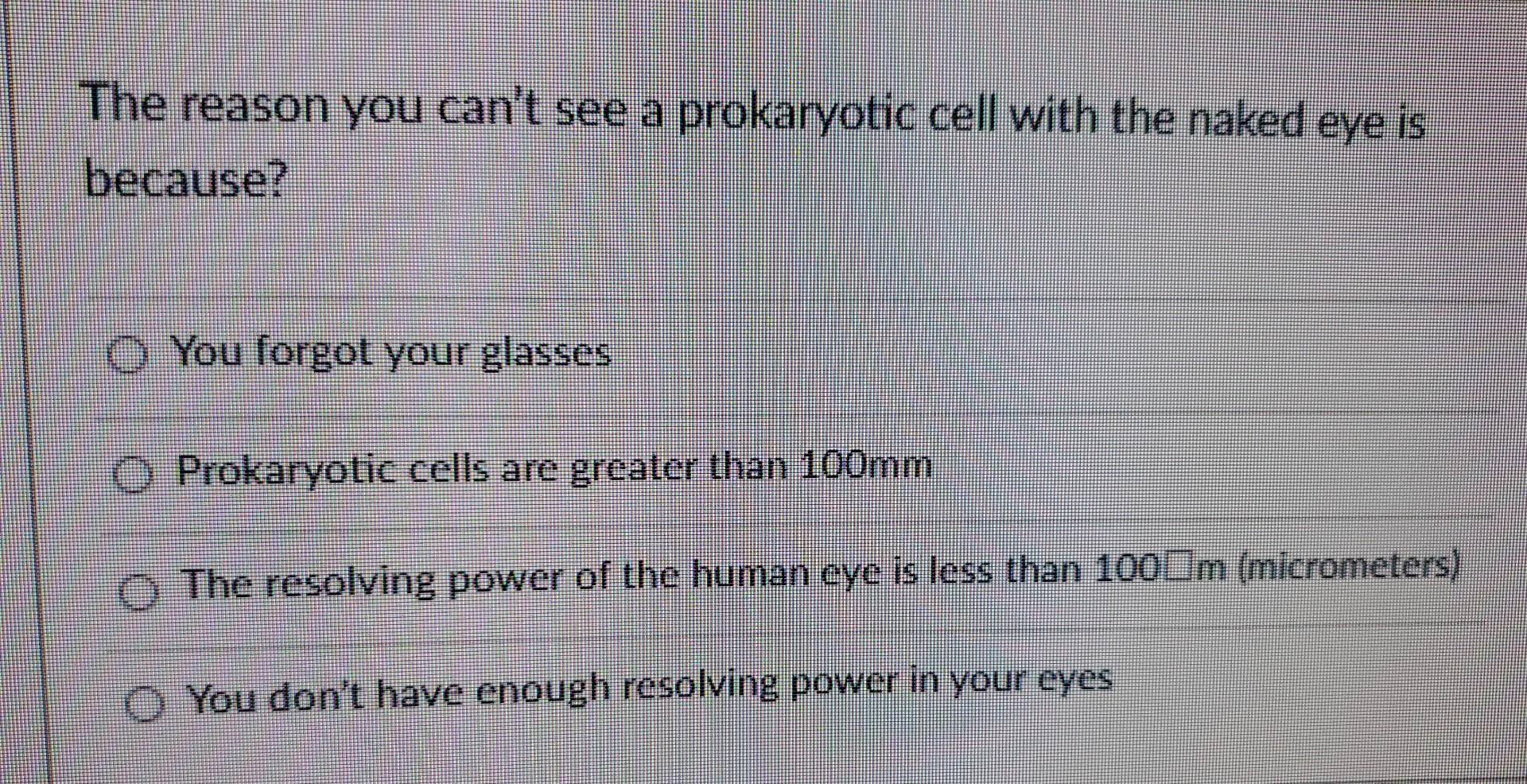 Solved The reason you can't see a prokaryotic cell with the | Chegg.com