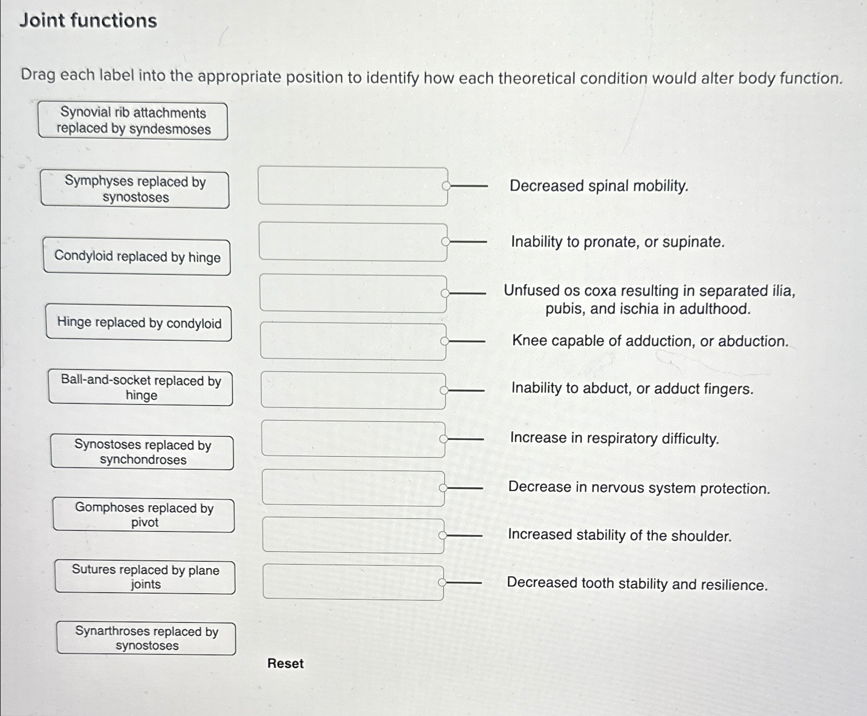 Joint functionsDrag each label into the appropriate | Chegg.com