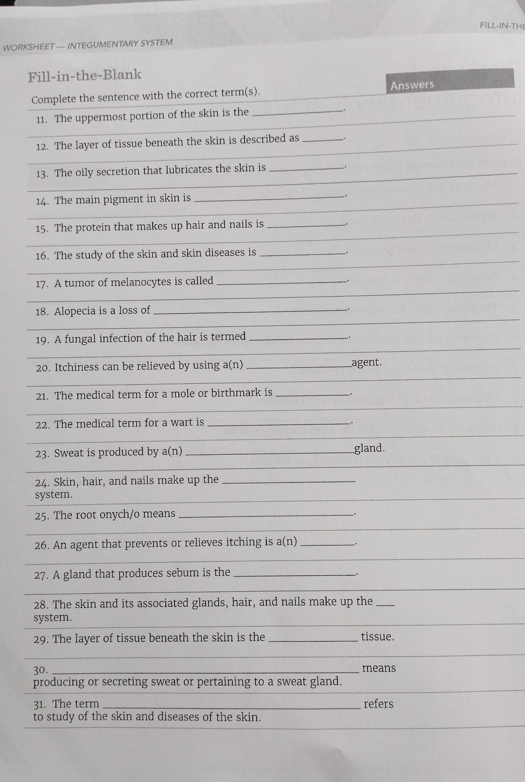 Solved 11/22 Worksheet Integumentary System True or False | Chegg.com
