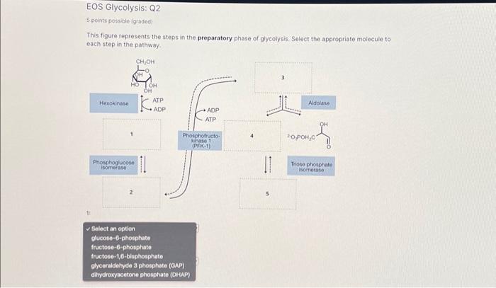Solved This figure represents the steps in the preparatory | Chegg.com