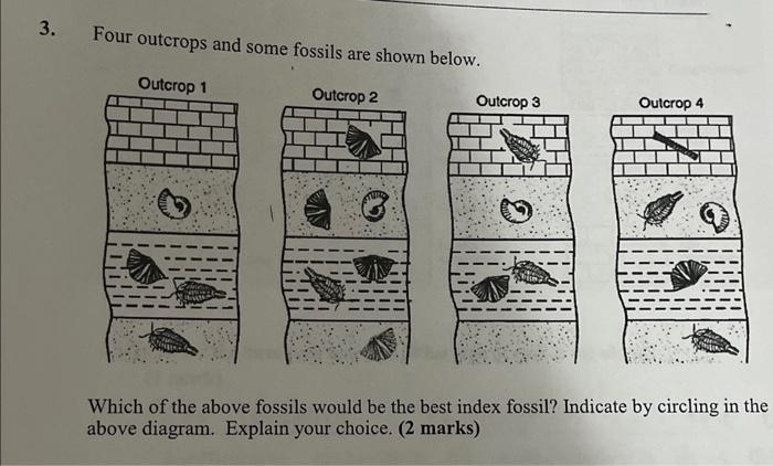 Solved Four outcrops and some fossils are shown below. Which | Chegg.com