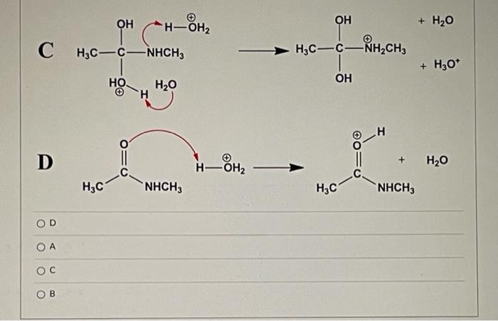 Solved 6 M HCI + H2O NHCH Δ H3C For the reaction above, the | Chegg.com