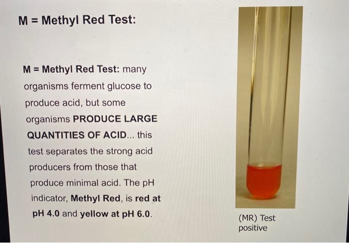 Solved Experiment 33 IMVIC Test The IMVIC series of tests is | Chegg.com