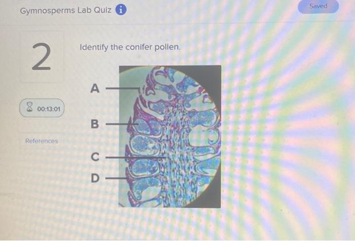 Solved Identify the conifer pollen. | Chegg.com