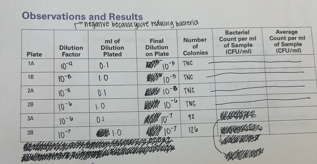 Solved Observations and Results Observations and ResultsΓ | Chegg.com