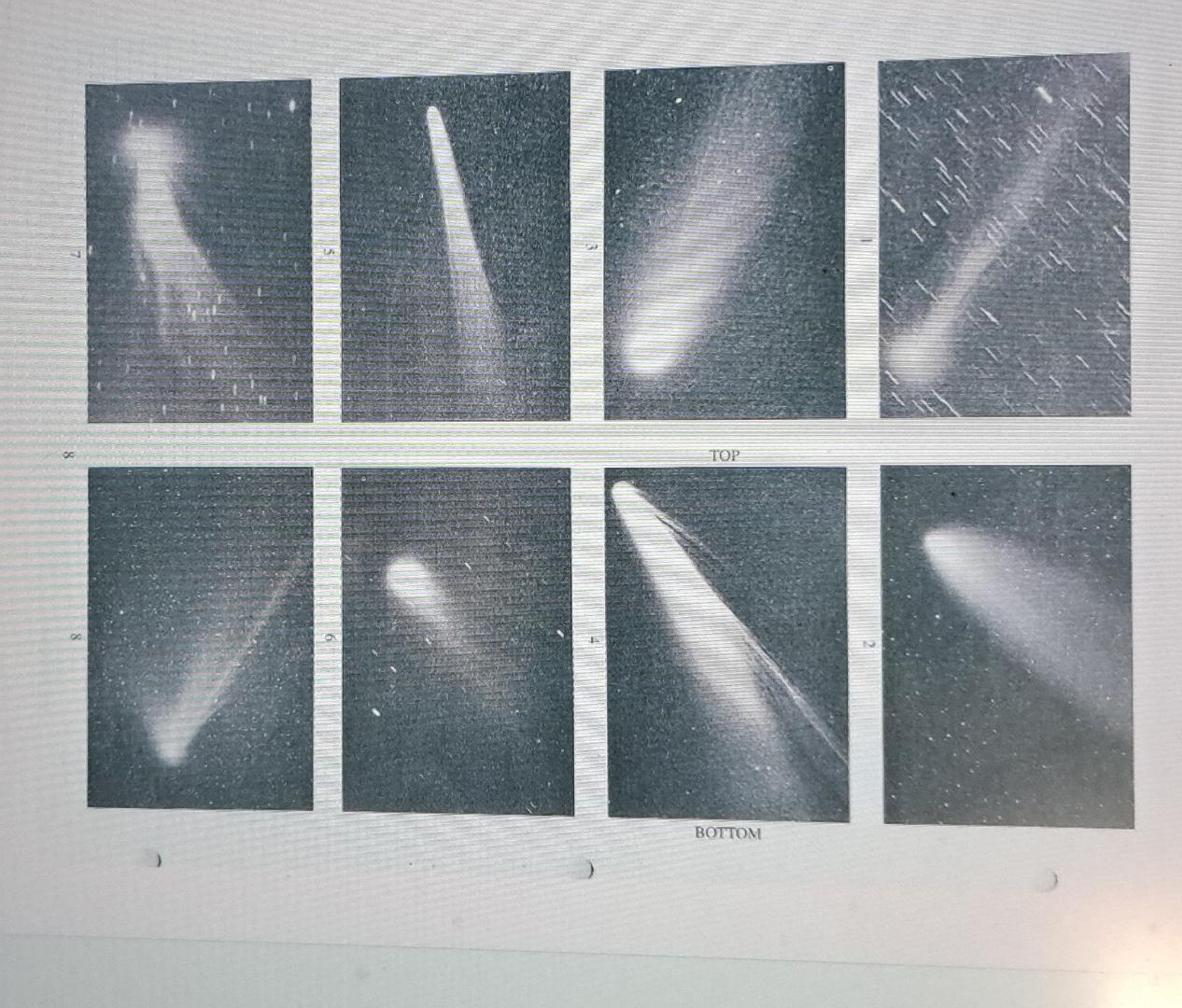 Examine the images on page 8 showing different | Chegg.com