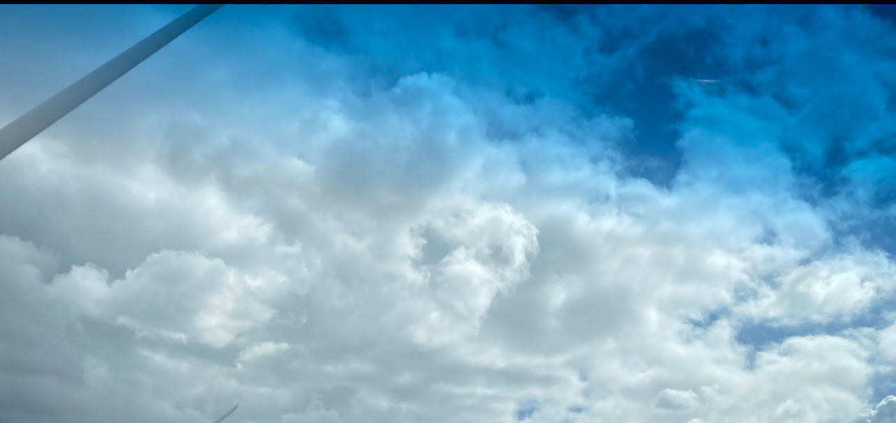 Solved identify their type/classification. ﻿For example, | Chegg.com