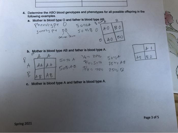 Solved 4. Determine the ABO blood genotypes and phenotypes | Chegg.com