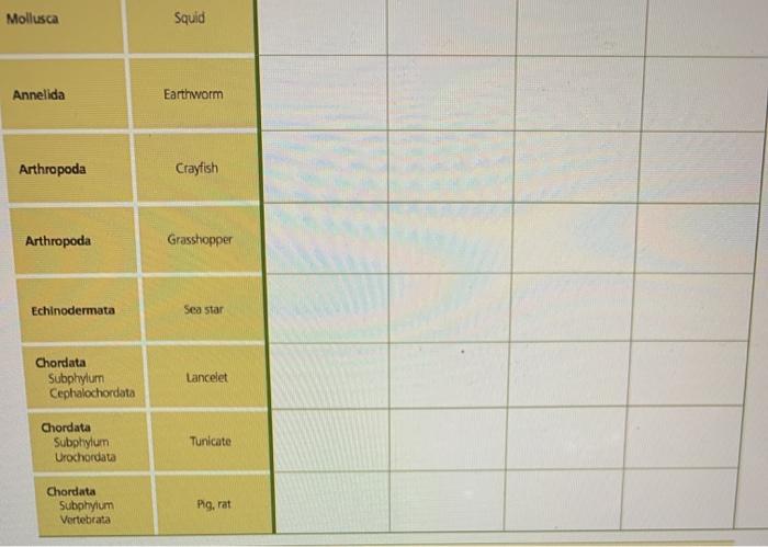Solved Table A-1 Summary Table of Characteristics for Major | Chegg.com