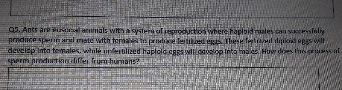 Solved Q5. Ants are eusocial animals with a system of | Chegg.com