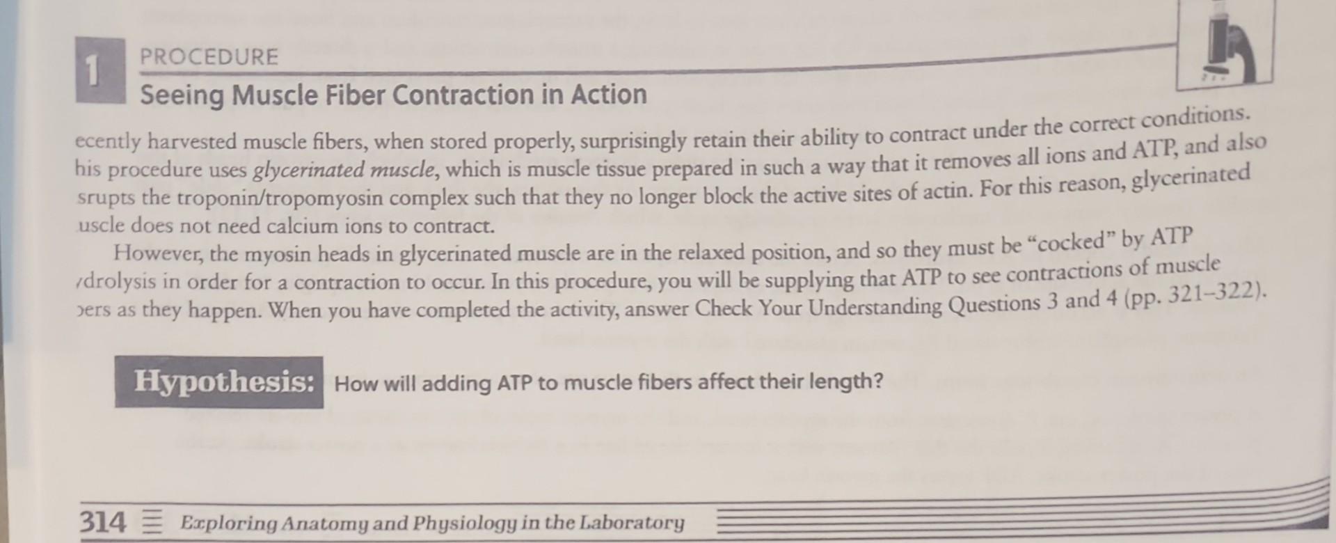 Solved Seeing Muscle Fiber Contraction in Action ecently | Chegg.com