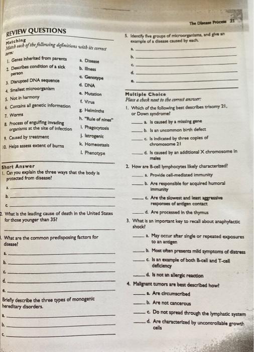 [Solved]: 5. Identily five groves of microcrganlsms, and so