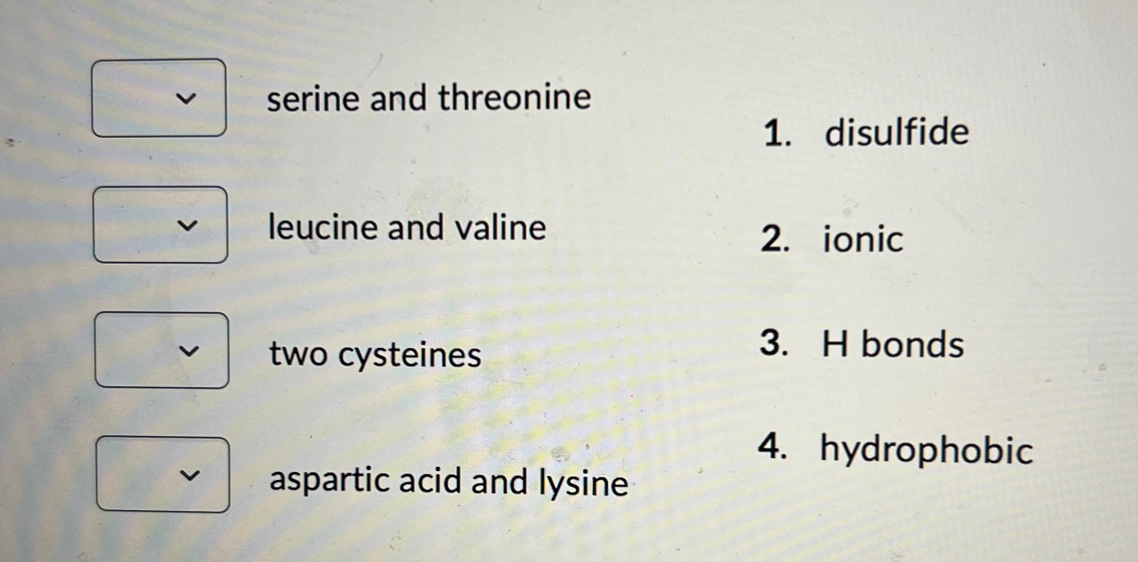 Solved serine and threoninedisulfideleucine and | Chegg.com