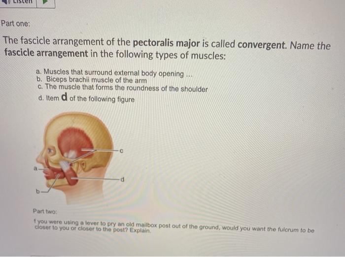 Solved Part one: The fascicle arrangement of the pectoralis | Chegg.com