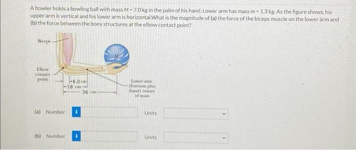 Solved A bowler holds a bowling ball with mass M 7.0 kg in | Chegg.com