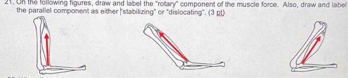 Solved the following figures, draw and label the "rotary" | Chegg.com