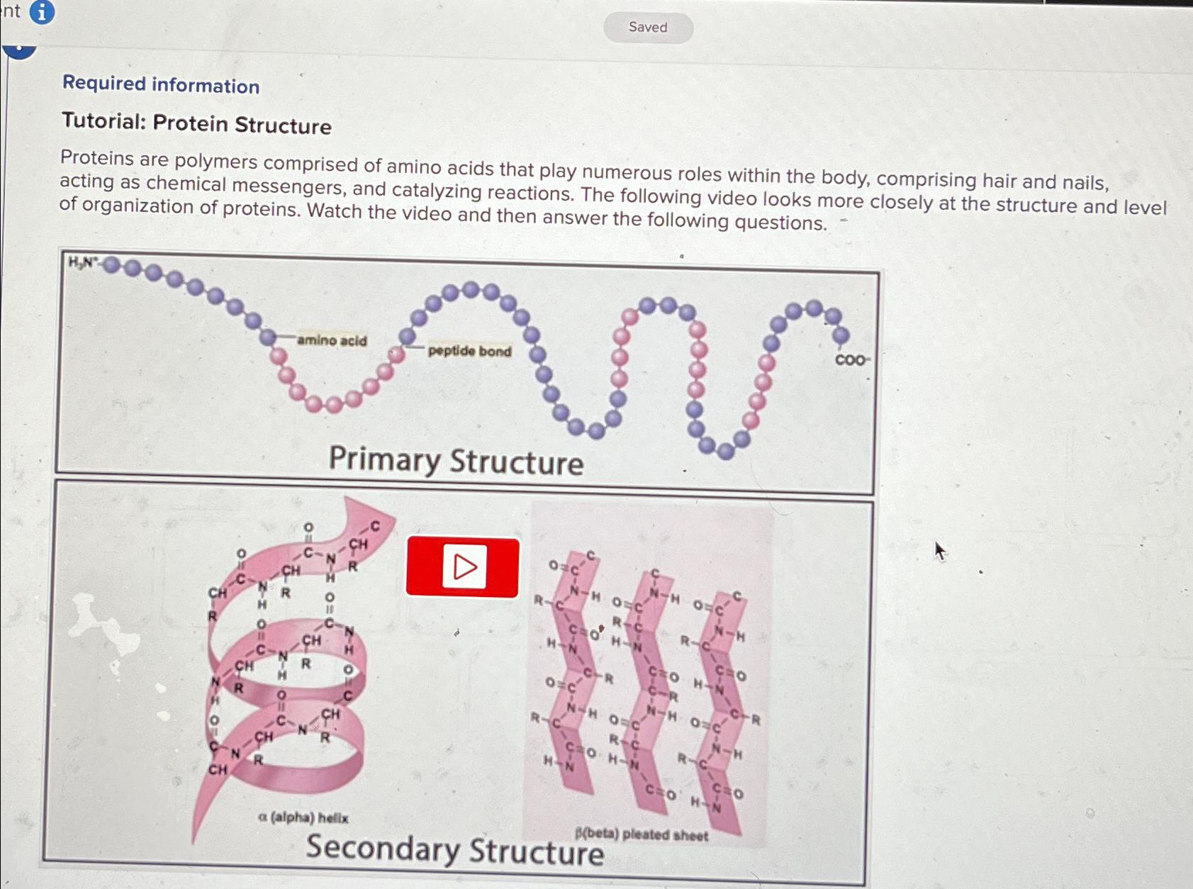 Solved Required informationTutorial: Protein | Chegg.com