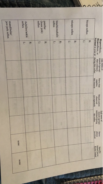 Full name of Hyperreflexie muscle (group) | Chegg.com