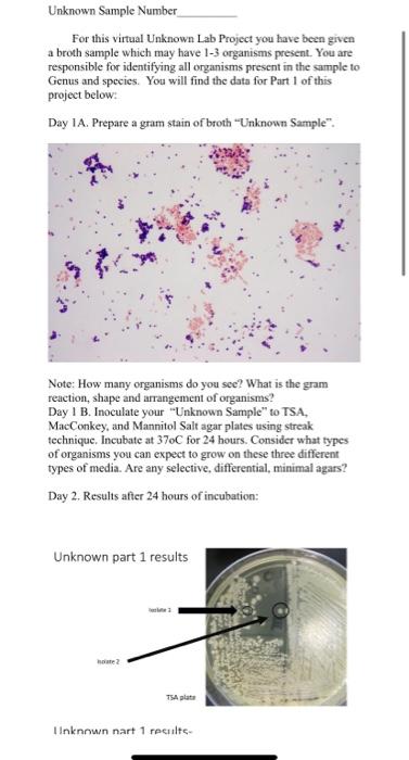 Solved Unknown Sample Number For this virtual Unknown Lab | Chegg.com