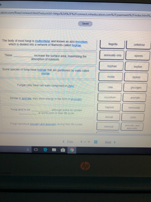 cation.com/flow/connect.html?returnUrl= https%3A %2F | Chegg.com
