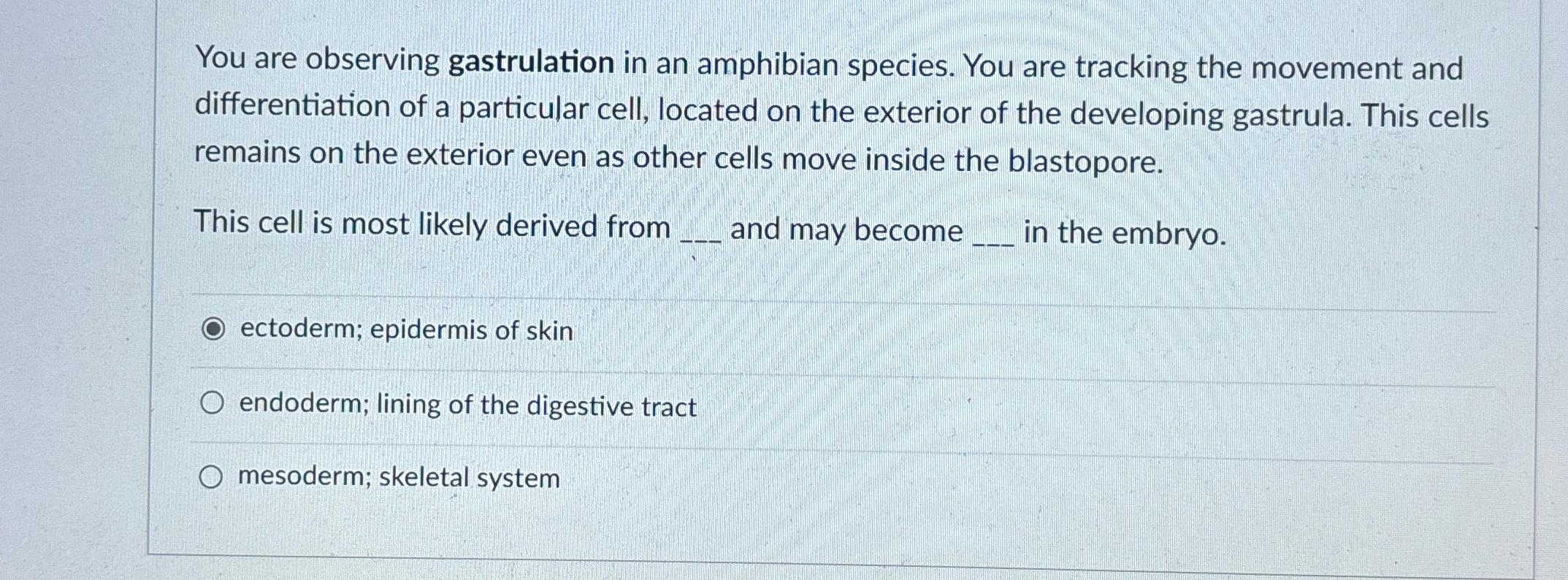 Solved You are observing gastrulation in an amphibian | Chegg.com