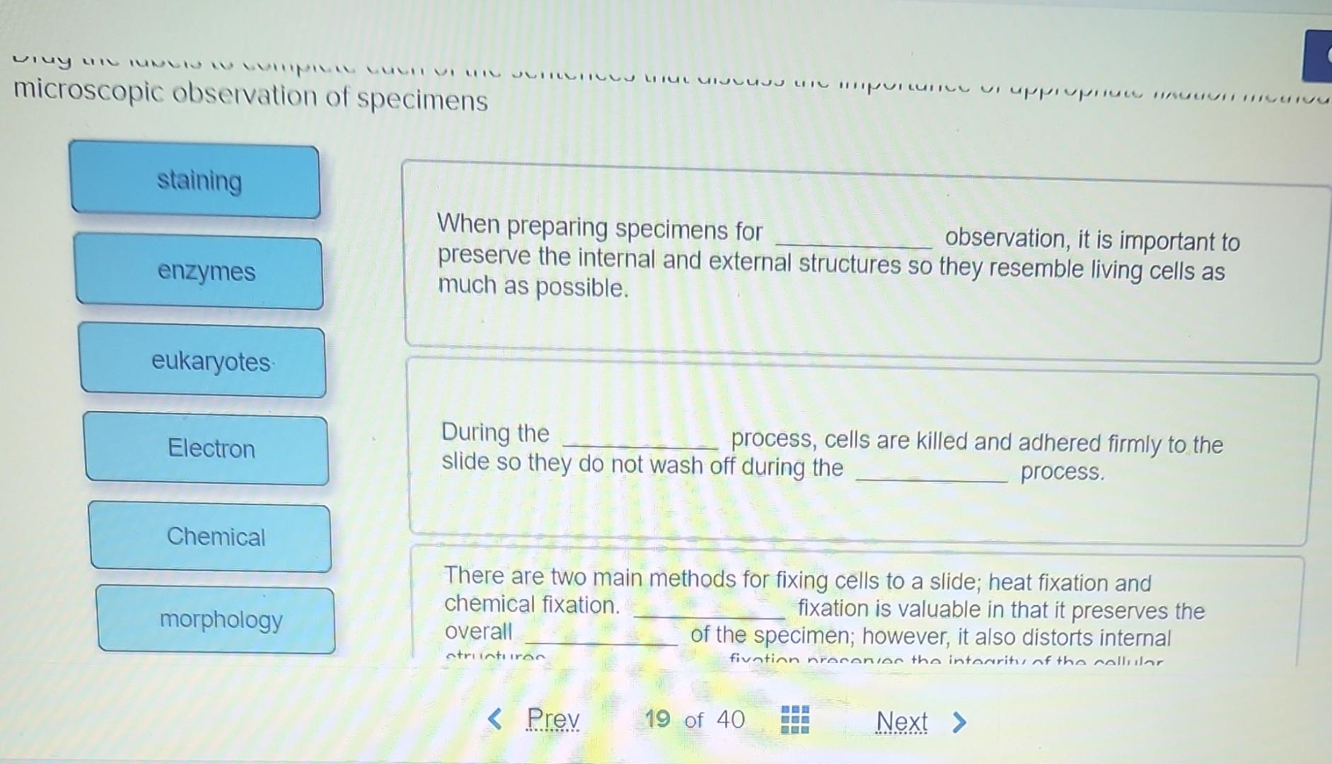 Solved microscopic observation of specimens When preparing | Chegg.com