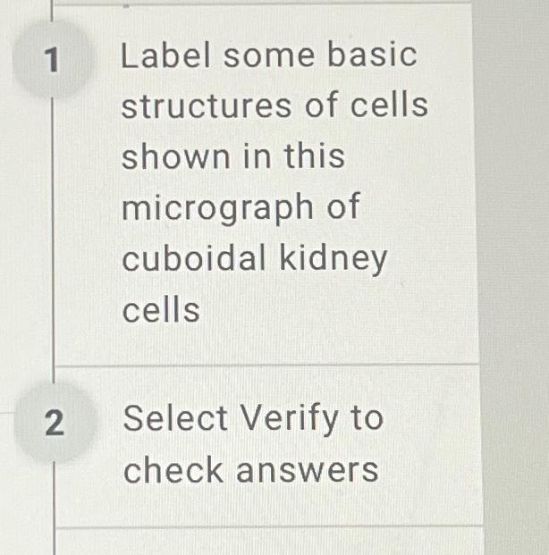 1 ﻿Label some basic structures of cells shown in this | Chegg.com